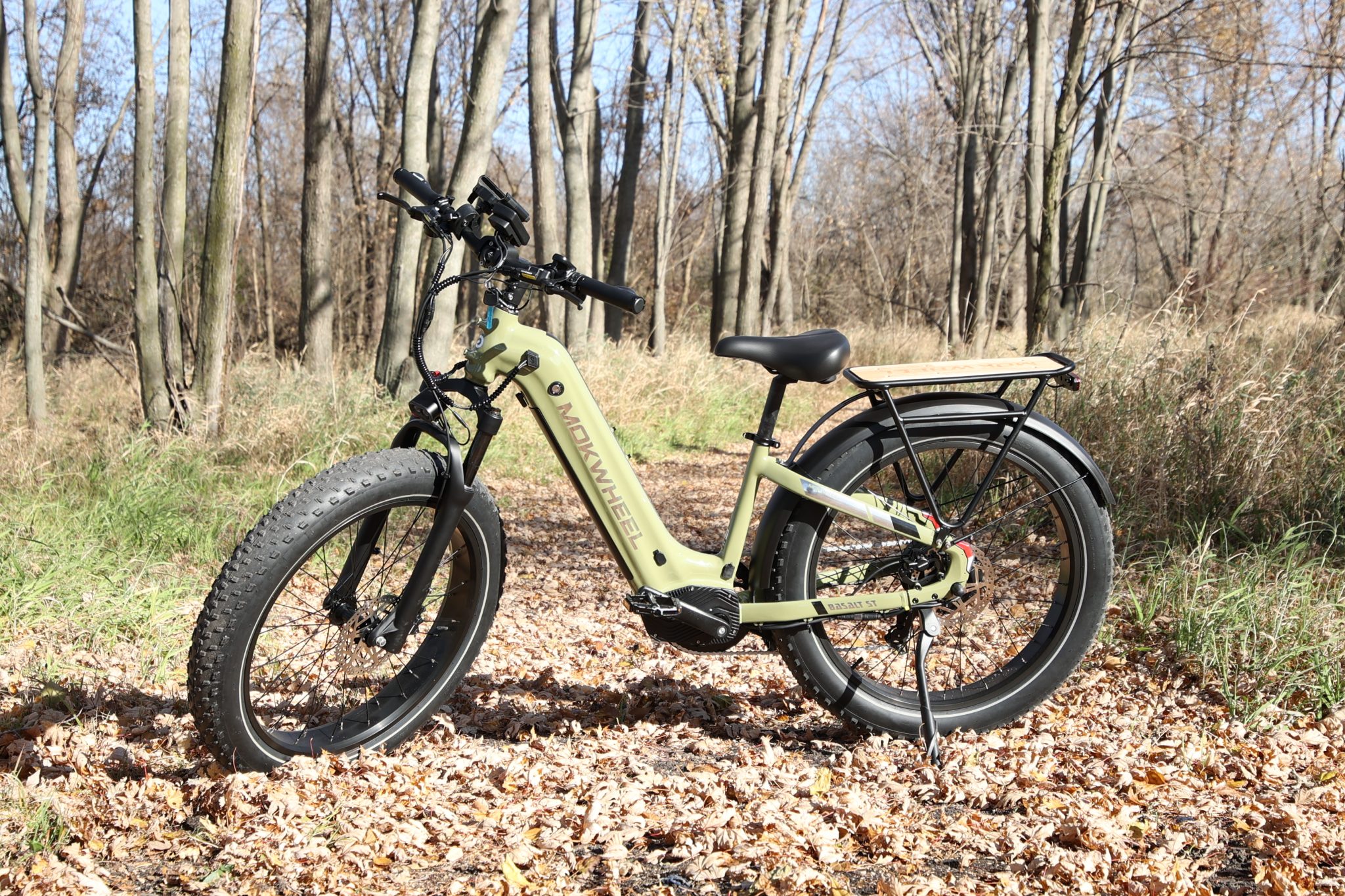 OUXI V8 Review: Is The Cheapest Moped-Style E-Bike on TEMU Worth It ...